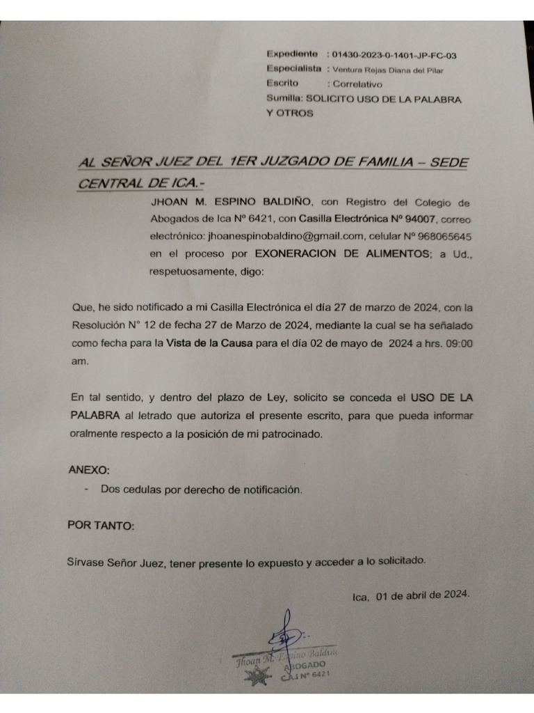 Solicito Uso de La Palabra | PDF