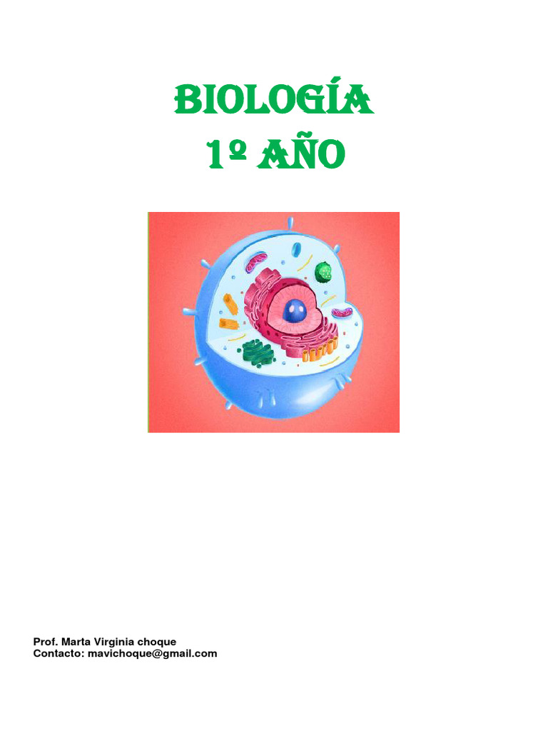 Características de los Seres Vivos y Células | PDF | Biología Celular ...