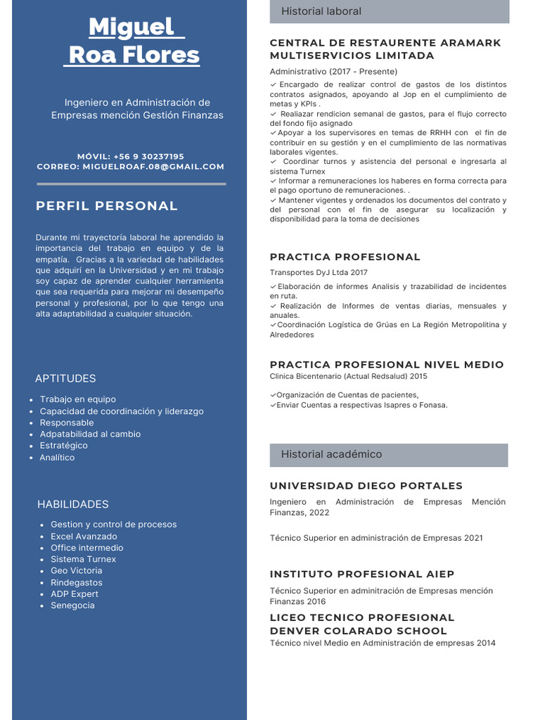 Miguel Roa CV 2024 | PDF | Economias | Business