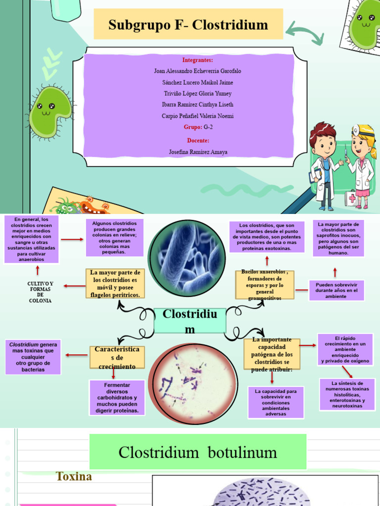 Exposicion Subgrupo-F-Clostridium | PDF | Diarrea | Especialidades Medicas