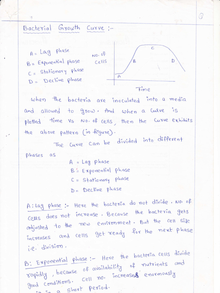 Bacterial Growth Curve | PDF | Science & Mathematics