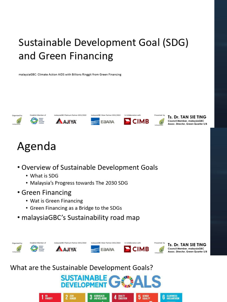 (D) 1 SDG and Green Financing TST | PDF | Sustainability | Economy And ...