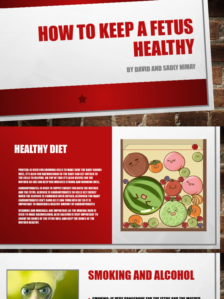 Keeping A Fetus Healthy 2 | PDF