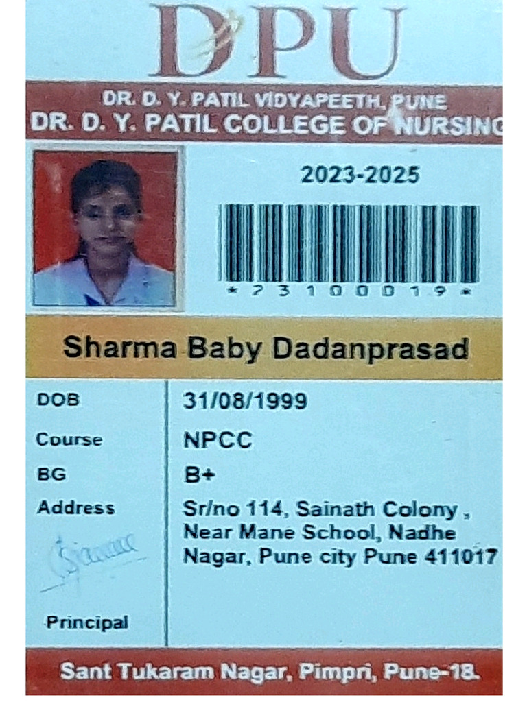 Id Card | PDF