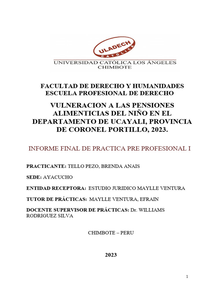 Informe Final Practicas I - Brenda | PDF | Pensión alimenticia | Ley ...