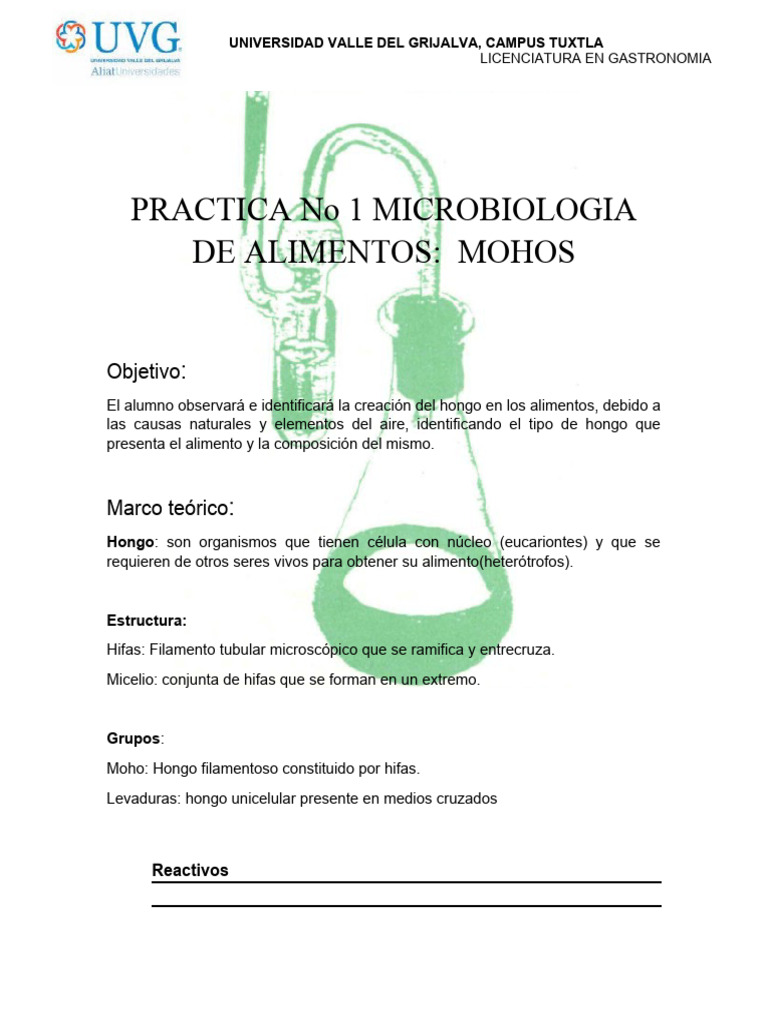 Microbiologia de Alimentos | PDF | Hongo | Molde