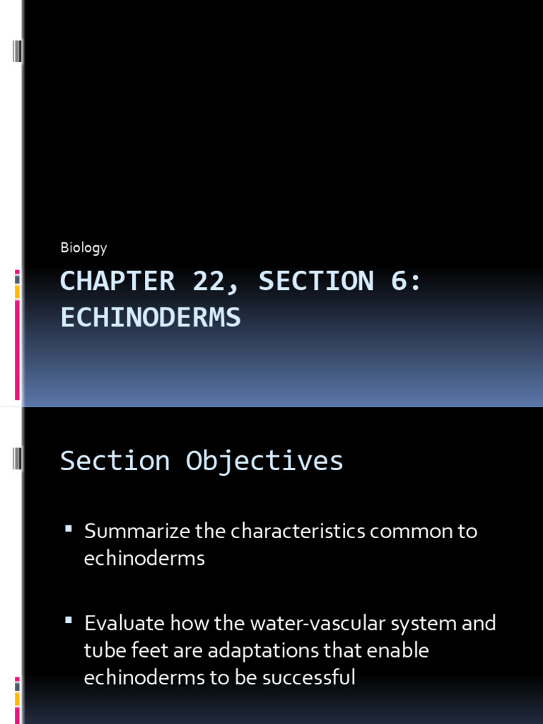 Echinoderm Characteristics | PDF | Zoology