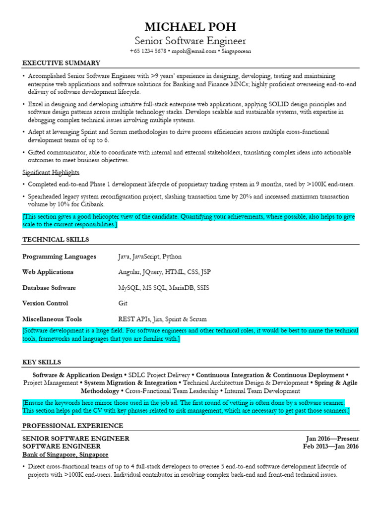 Senior Software Engineer Profile | PDF | Software Development Process ...