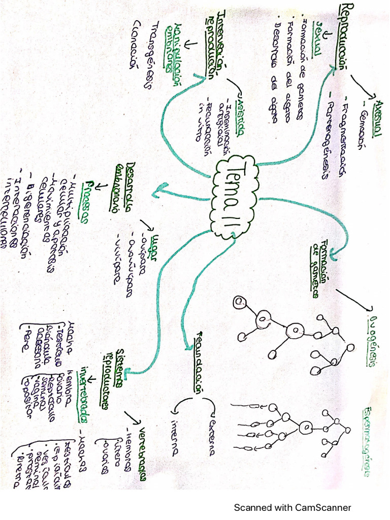 Tema 11 Biología-1 Bach | PDF