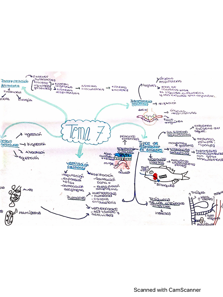 tema 7 biología-1 bach | PDF