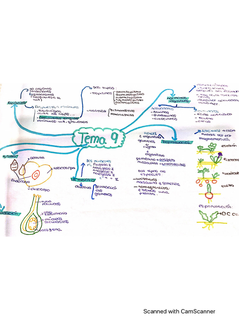 Tema 9 Biología-1bach | PDF