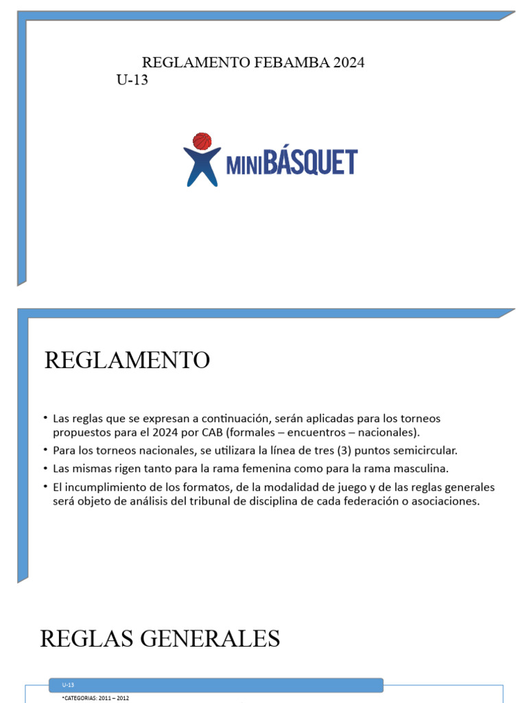 ANEXO IV REGLAMENTO GENERAL U 13 FeBAMBA AFMB 2024 | PDF | Defensor ...