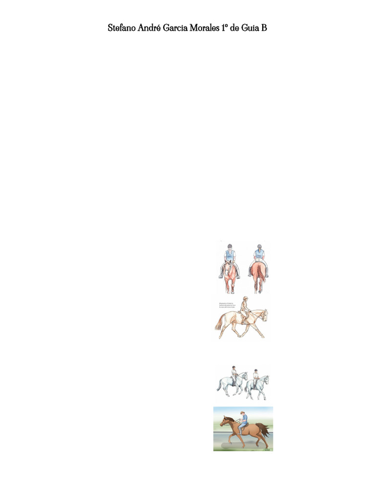Stefano André Garcia Morales 1º de Guia B | PDF | Caballos