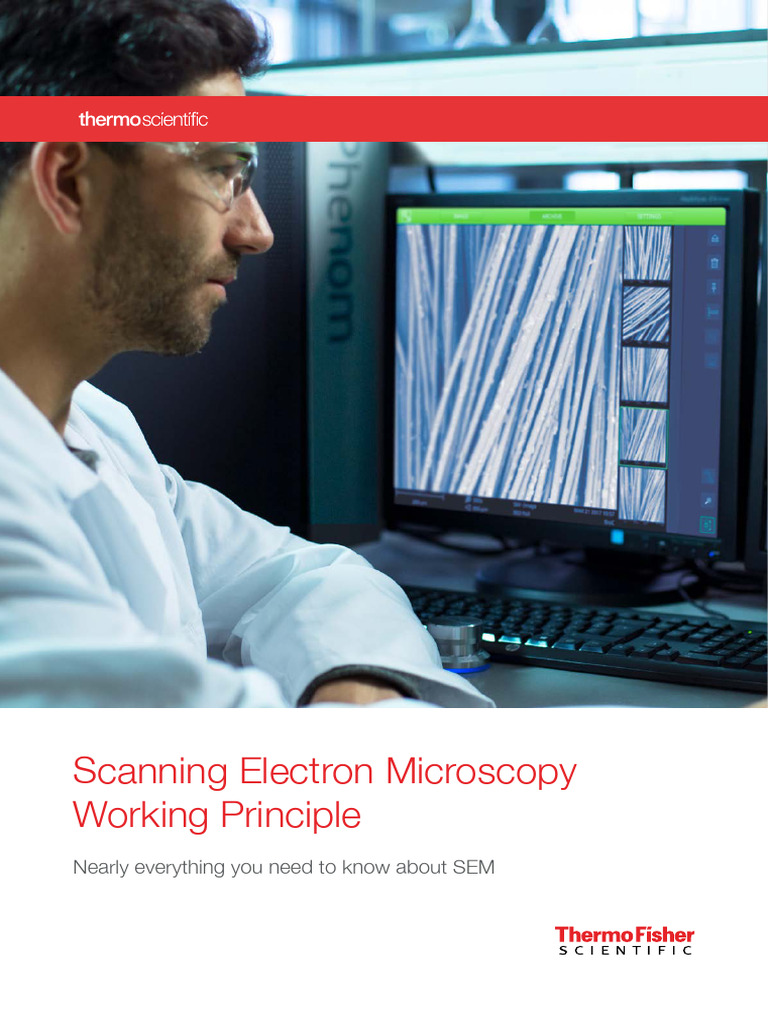 WP0016 Scanning Electron Microscopy Working Principle | PDF | Microscope | Scanning Electron ...