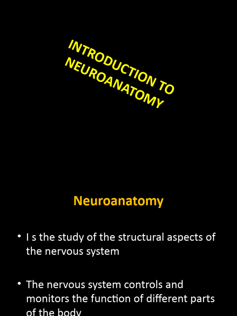 Introduction To CNS 1 | PDF | Central Nervous System | Neuron