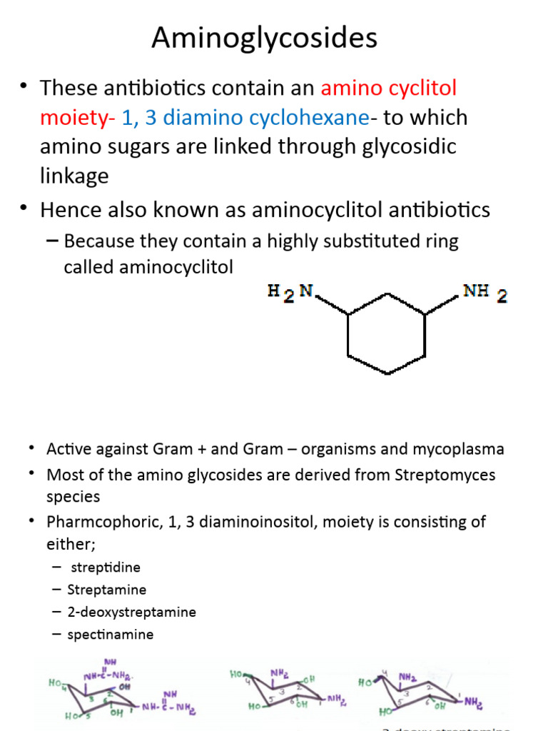 Aminoglycosides | PDF | Ribosome | Biology