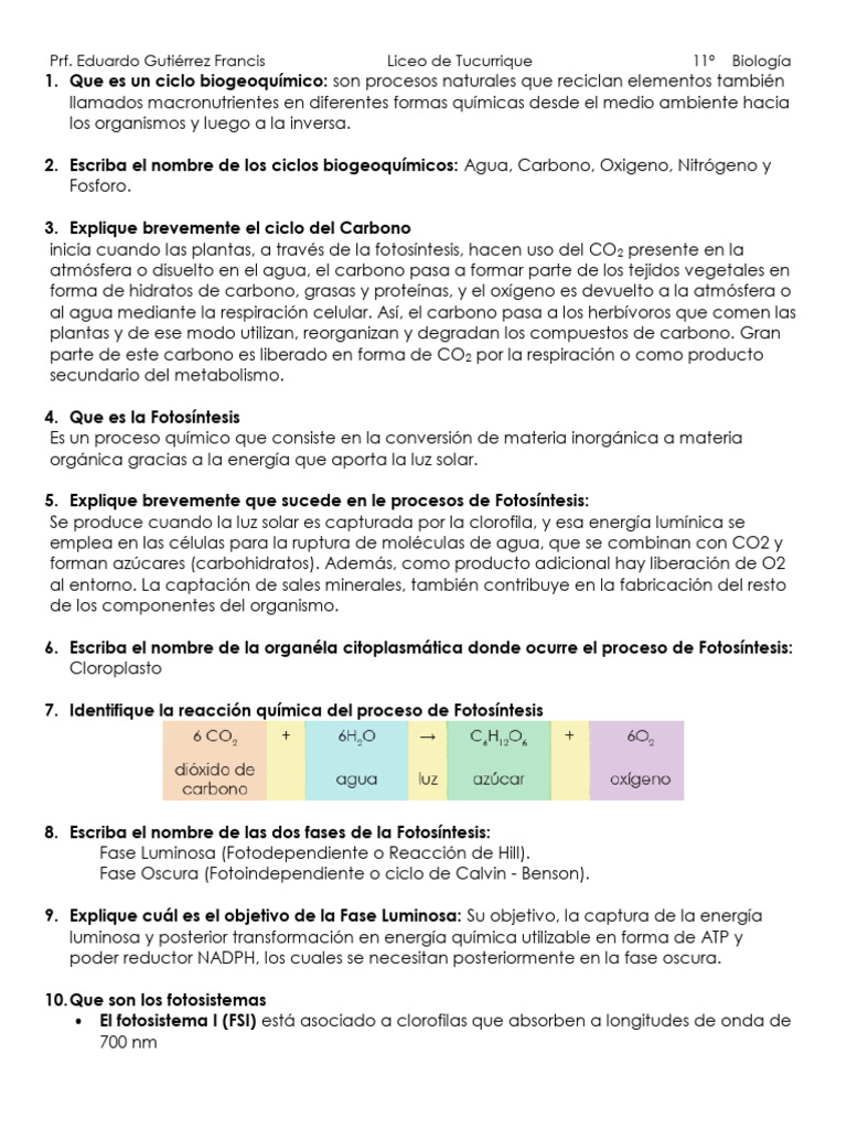 Guía #2 Biología 11° Práctica de Examen | PDF | Fermentación ...