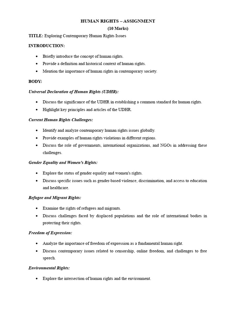 Current Human Rights Issues Explained | PDF