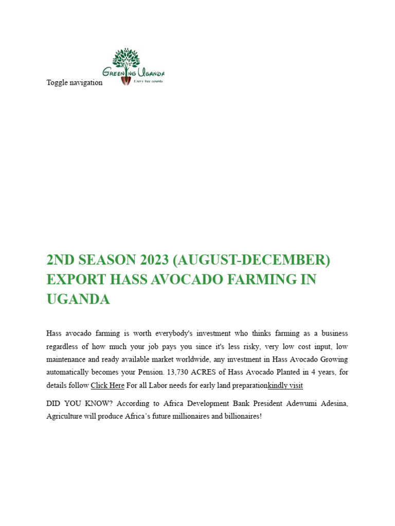 Hass Avocado Farming in Uganda | PDF | Avocado | Agriculture