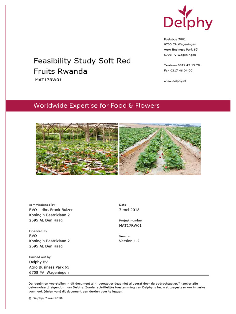 Report - Feasibility Study Soft Red Fruit Rwanda | PDF | Soil | Strawberry
