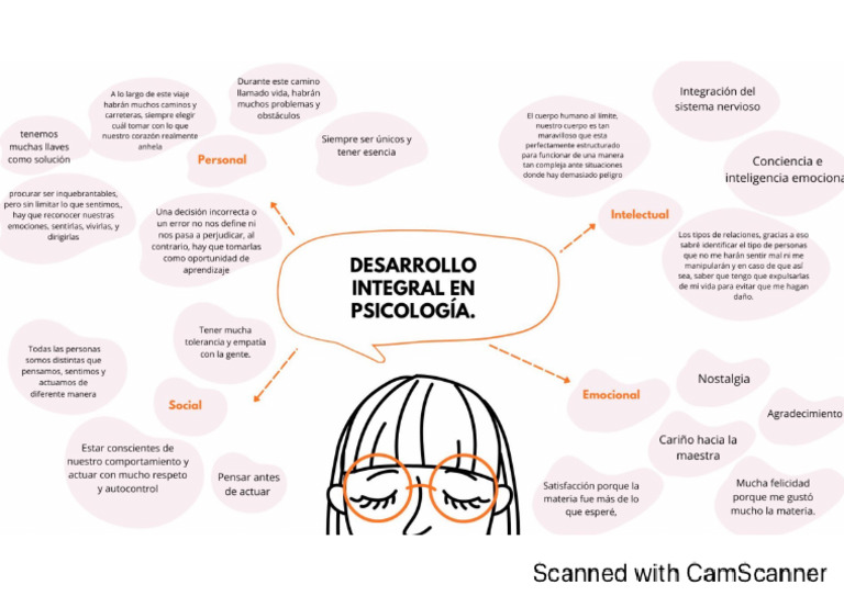 Desarrollo Integral | PDF