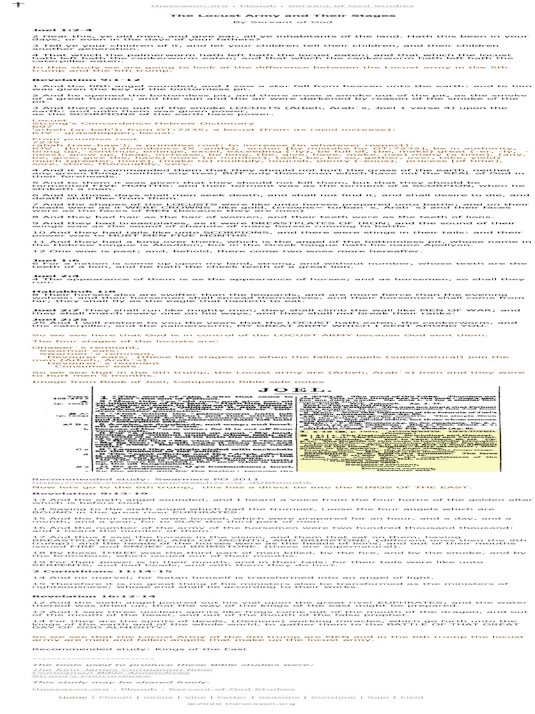 Locust Army Stages, Bible Study | PDF | Religious Belief And Doctrine
