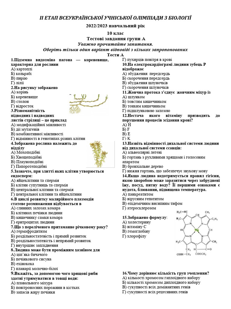 10 клас | PDF