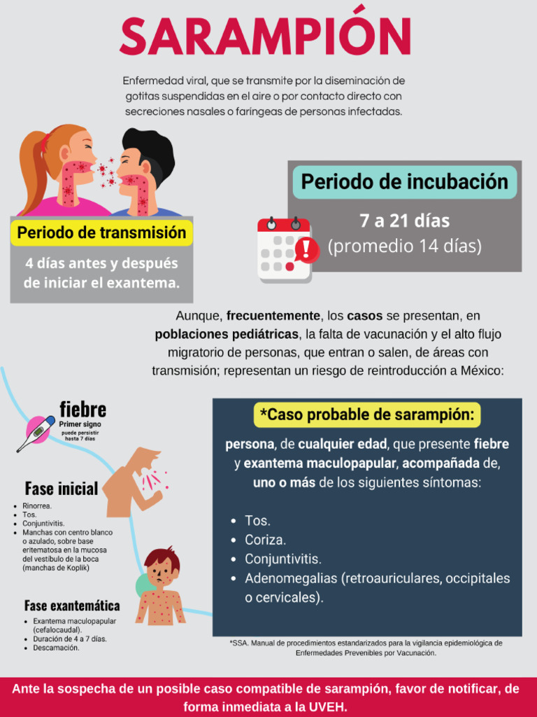 Infografía Sarampión - Abr24 | PDF