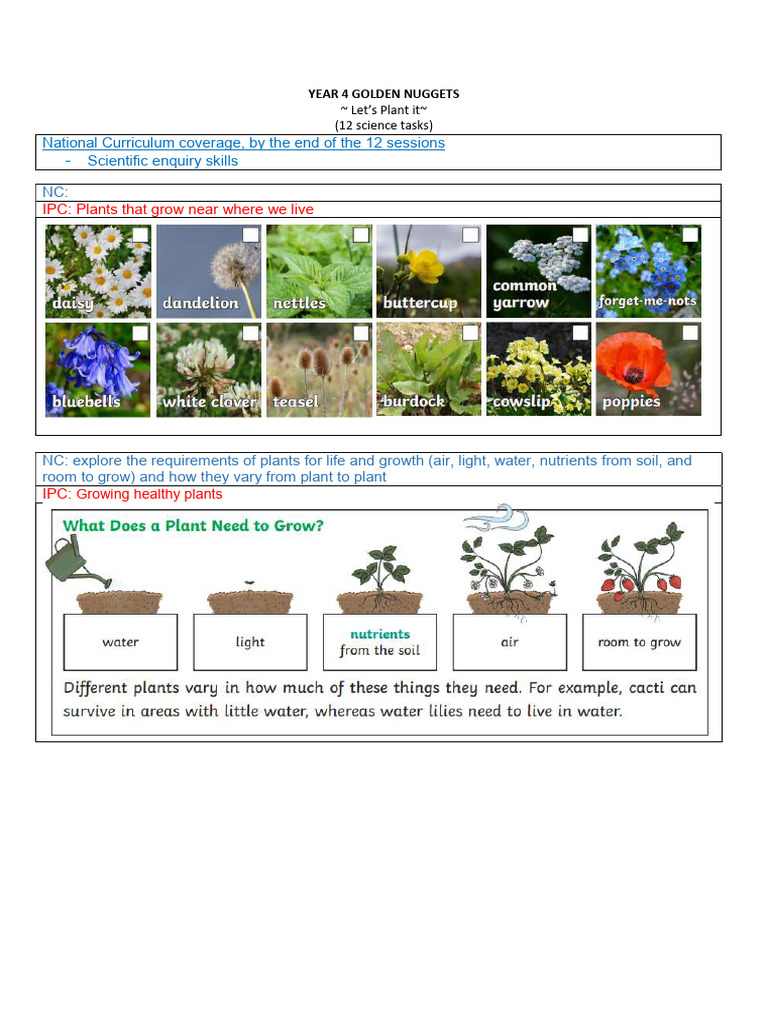 Y4 Lets Plant It | PDF | Flowers | Pollination