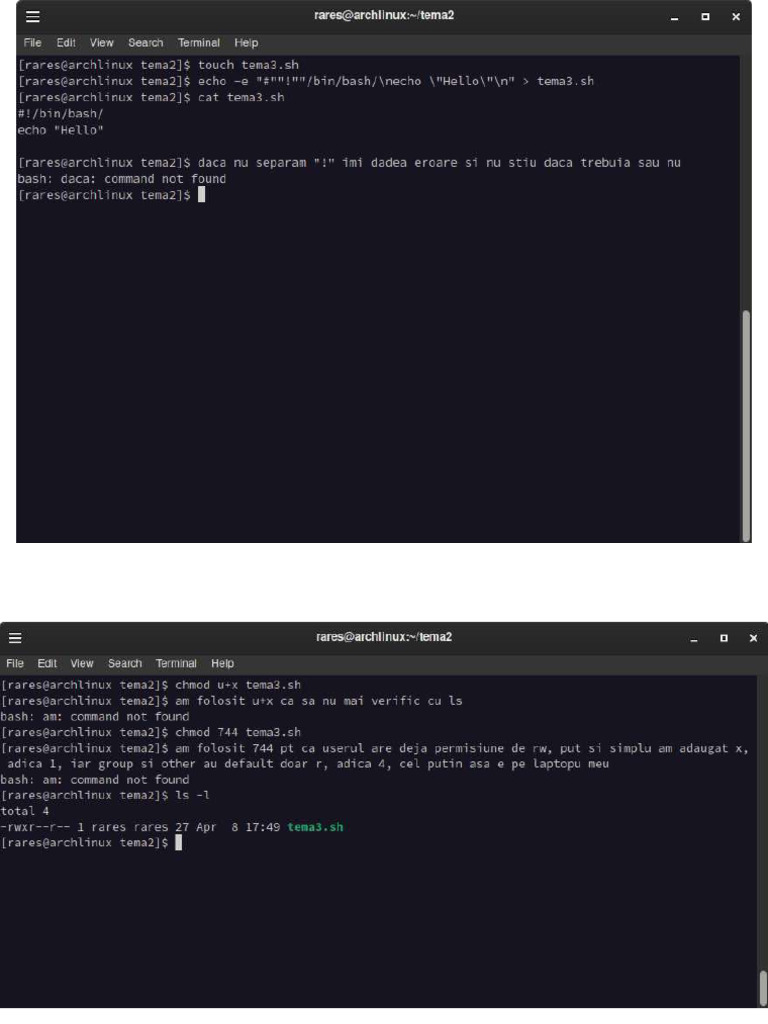 Constantin Rares 412A Tema2 | PDF