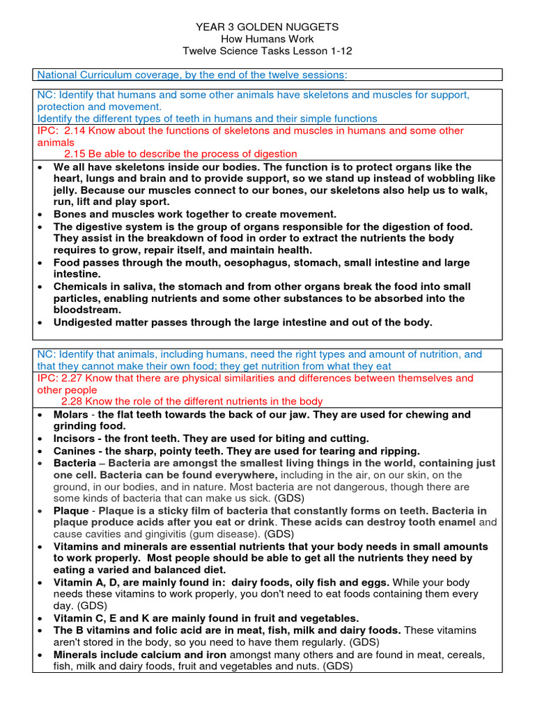 y3-how-humans-work | PDF | Digestion | Foods