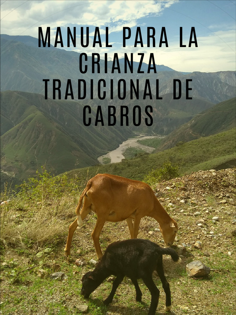 Manual para La Crianza Tradicional de Cabros | PDF | Cabra | Carne
