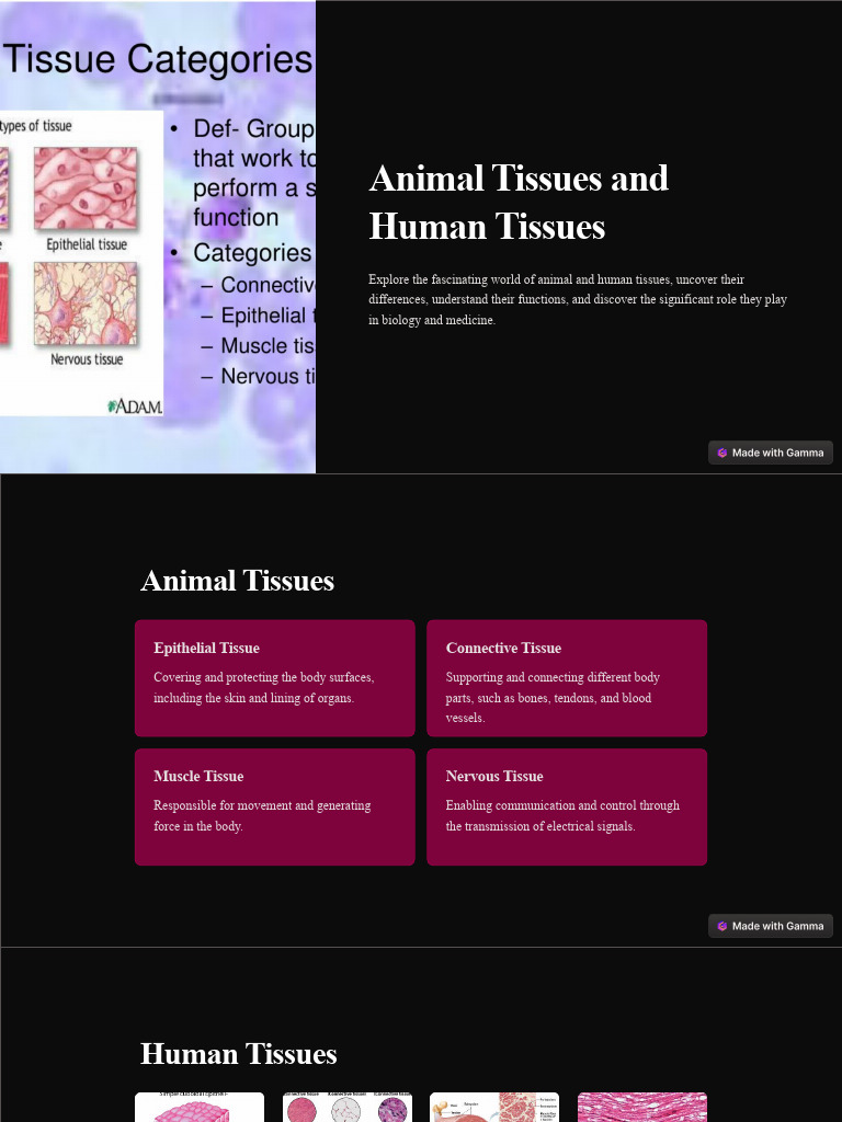Animal Tissues and Human Tissues | PDF | Tissue (Biology) | Human Body