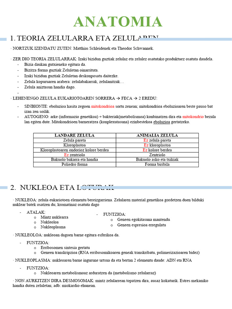 Anatomia 1.batx | PDF