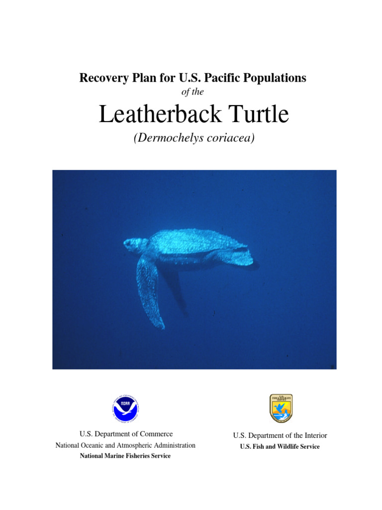 Leatherback turtle | PDF | Endangered Species | Endangered Species Act ...