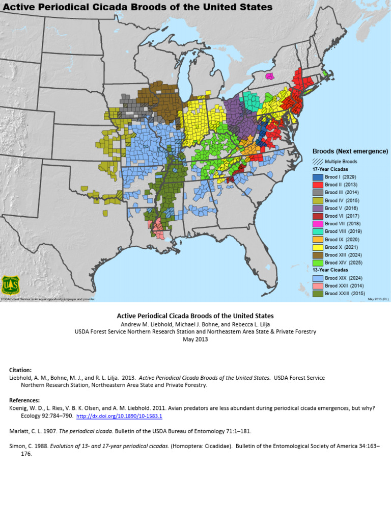 Cicada Brood Static Map | PDF