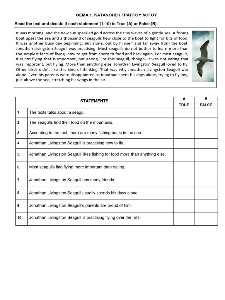 Seagull Story Comprehension Exercise | PDF | Gull
