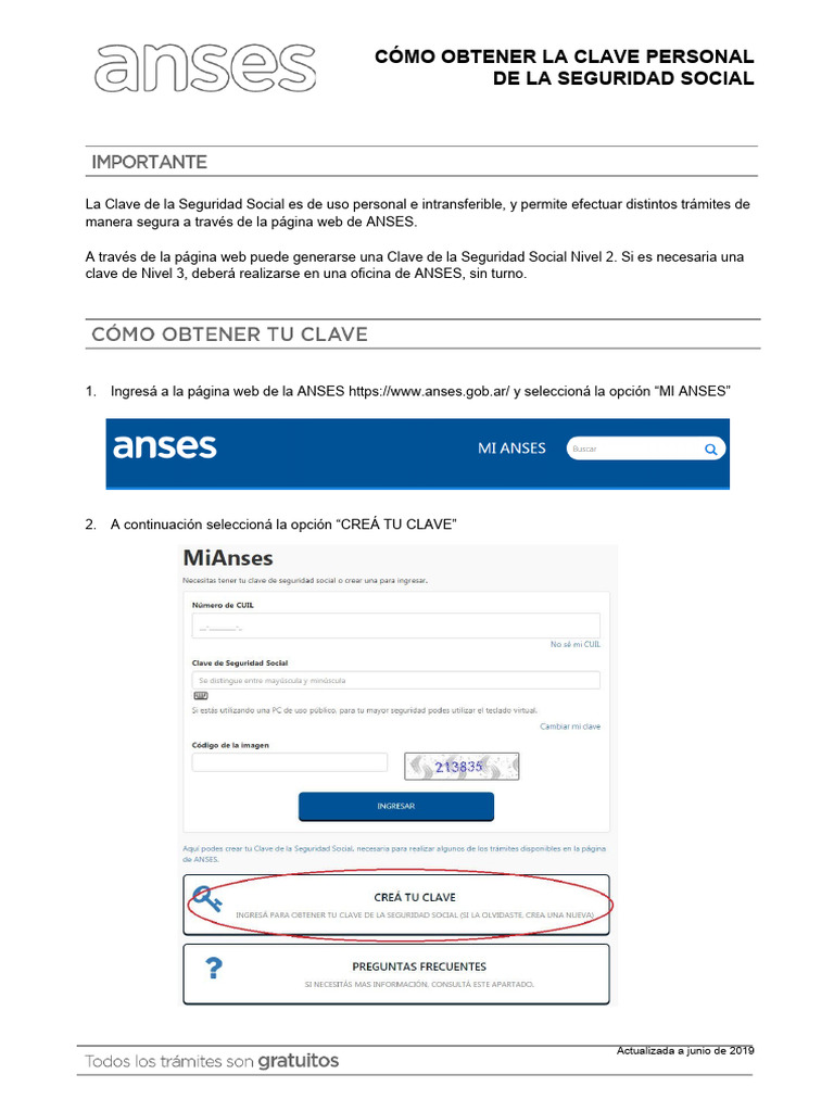 ManualUsuario CSS (Descargado de ANSES) | PDF | Informática