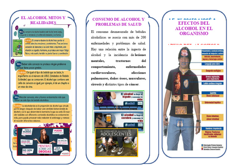 Triptico de Los Efectos Del Alcohol en El Organismo | PDF | Abuso de ...