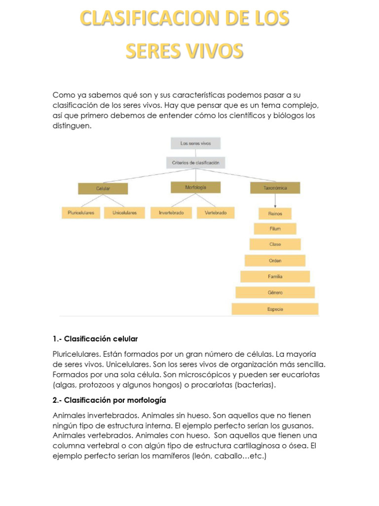 CLASIFICACION DE LOS SERES VIVOS | PDF | Taxonomía (biología) | Organismos