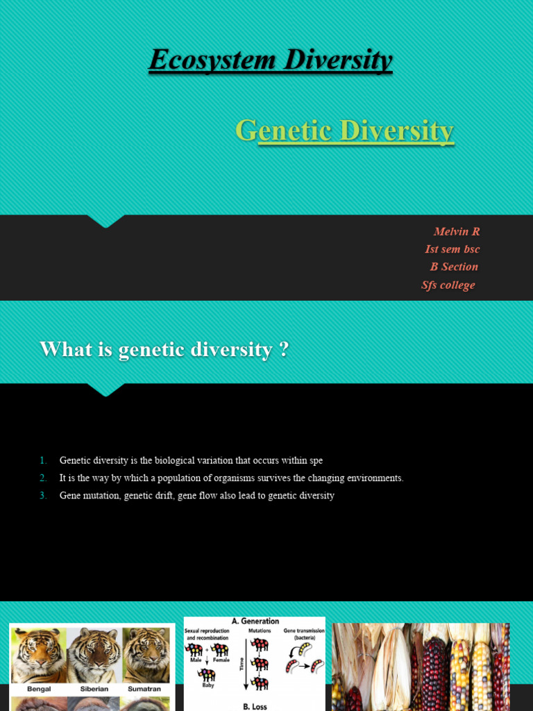 Genetic Diversity | PDF