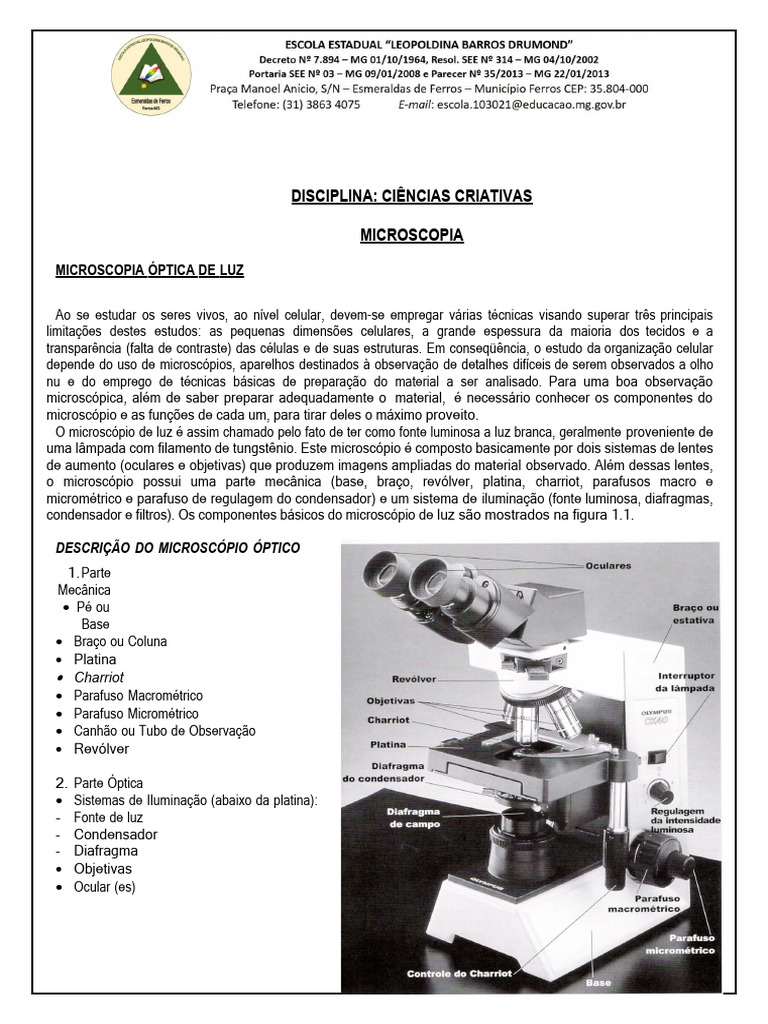 Microscopia de Luz | PDF | Resolução angular | Ótica