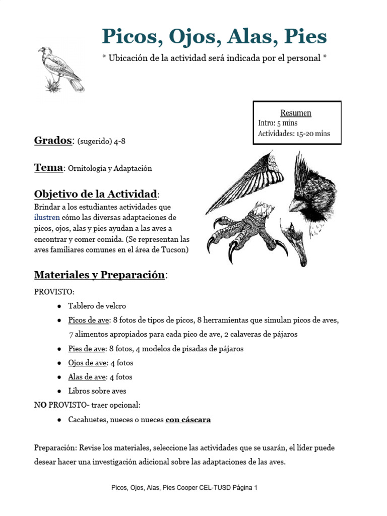 Bills, Eyes, Wings, Feet Spanish Version | PDF | Aves | Depredación