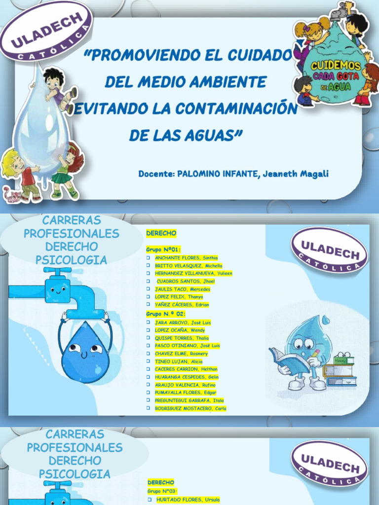 Diapositivas Del Ssu Rs Viii | PDF