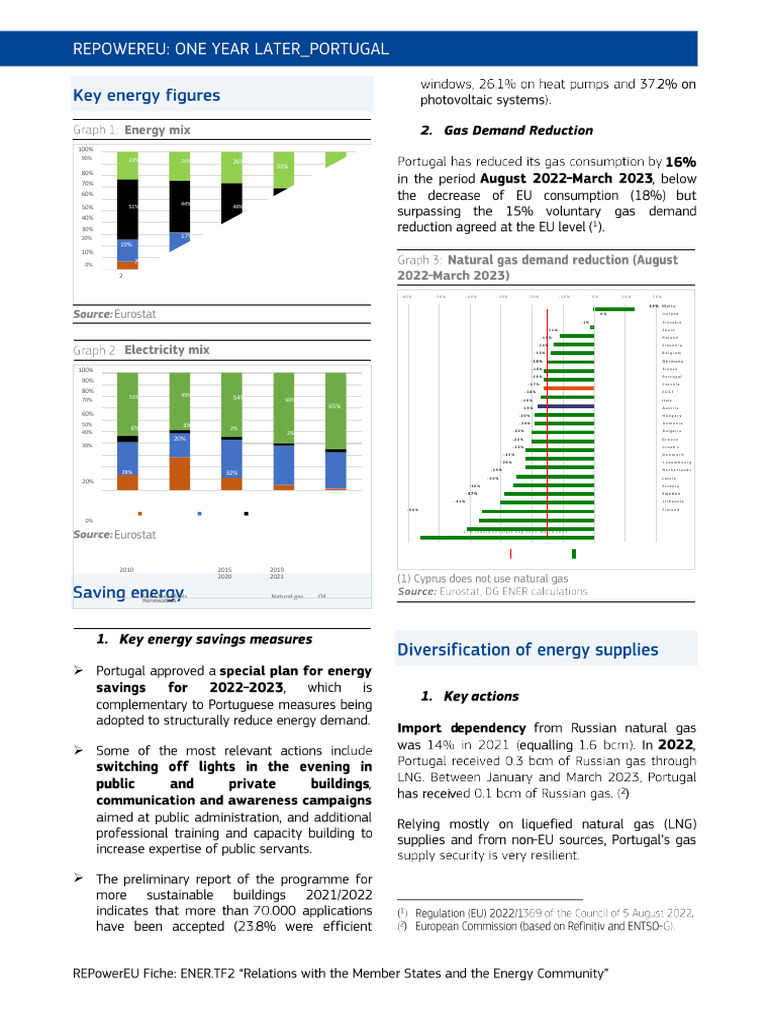 PT REPowerEU | PDF | Renewable Energy | Climate Change Mitigation