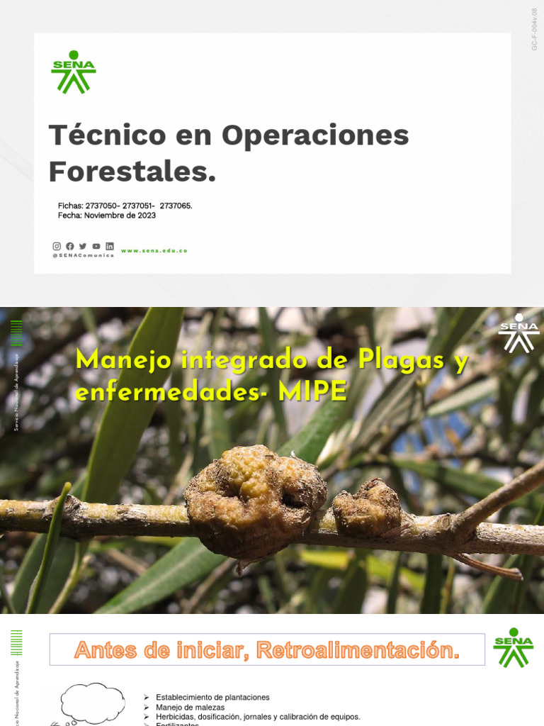 Manejo Integrado Plagas-MPI | PDF | Plaga (organismo) | Insectos