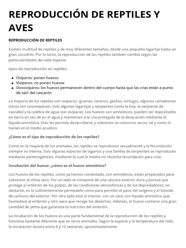 REPRODUCCIÓN DE REPTILES Y AVES | PDF | Reptil | Huevo