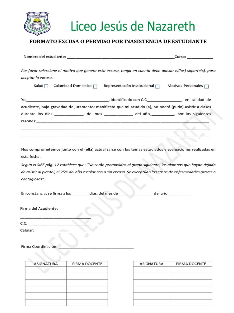 Formato Excusas 2024 | PDF