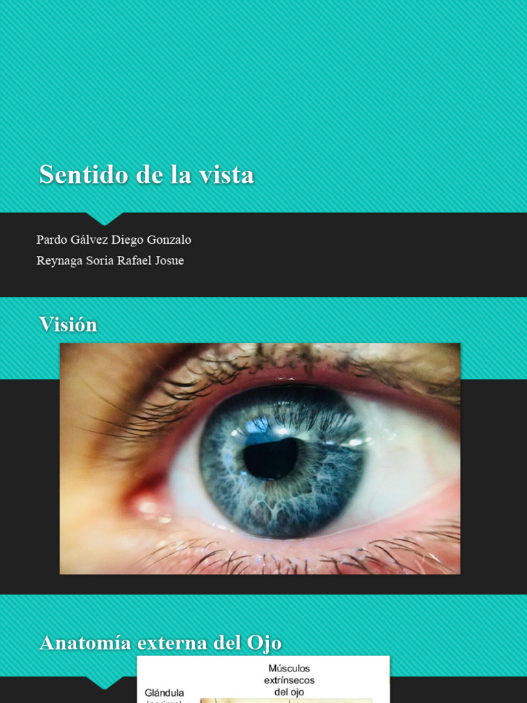 fisiología sentido de la vista | PDF | Ojo humano | Electrodinámica