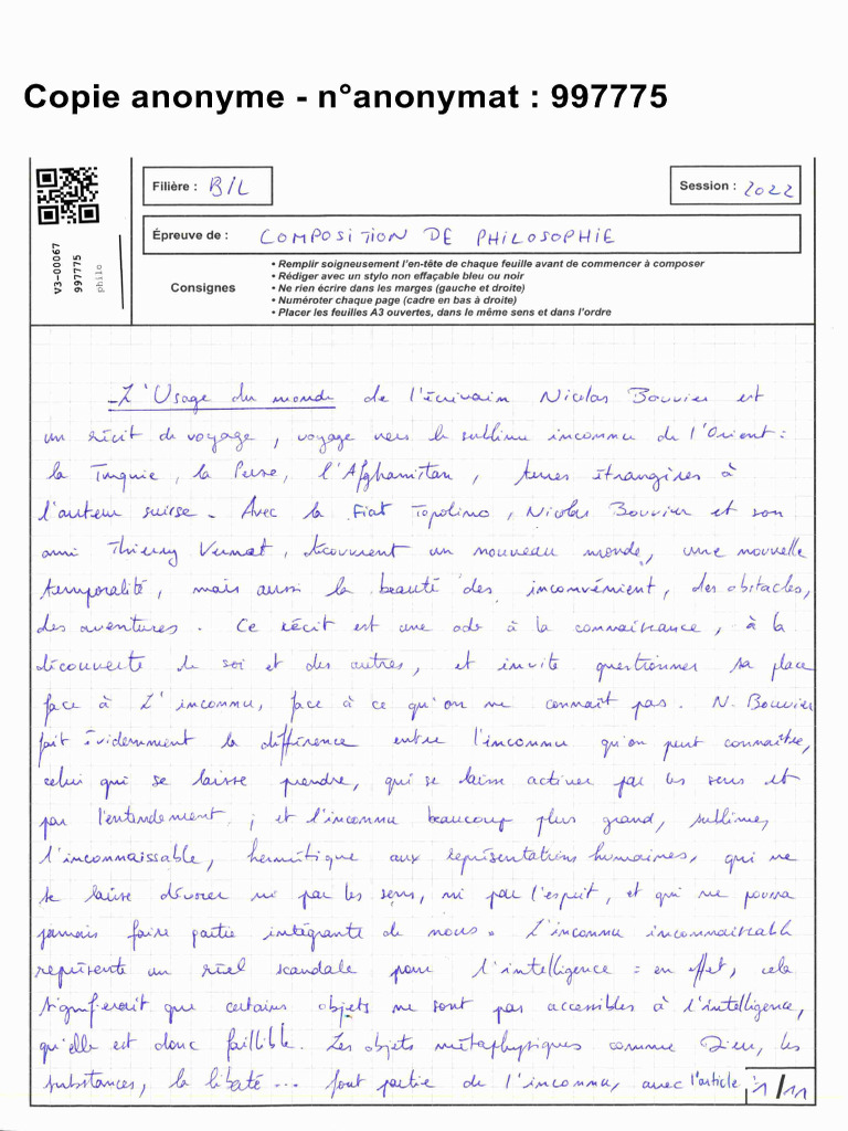 Copie philosophie | PDF